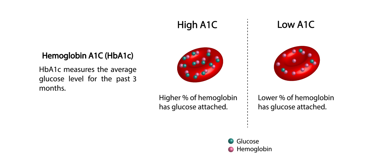 What is HBA1c? | 360Health